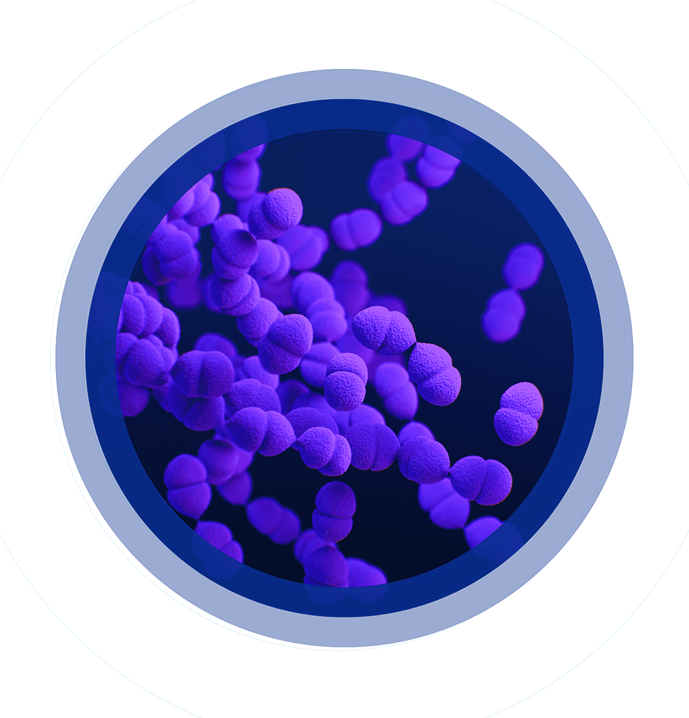 Index of /corha/web/assets/images